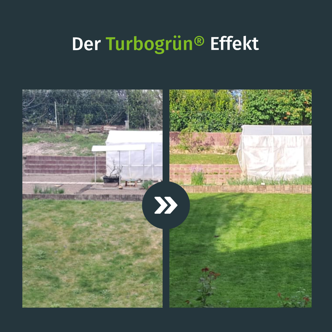 Flüssigdünger Pulver – turbogrün